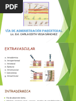 Via Intratecal | PDF | Farmacia | Medicina CLINICA
