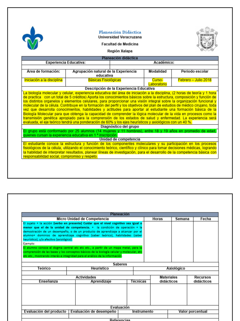 Formato de Planeacion | PDF | Evaluación | Enseñando