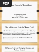 Insect Head Types: Hypognathous, Prognathous, Opisthognathous | PDF