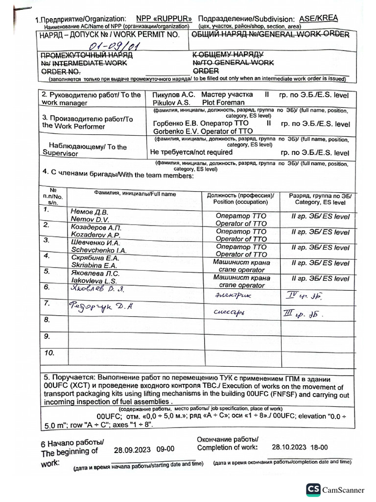 Work Permit Issued by ASE | PDF