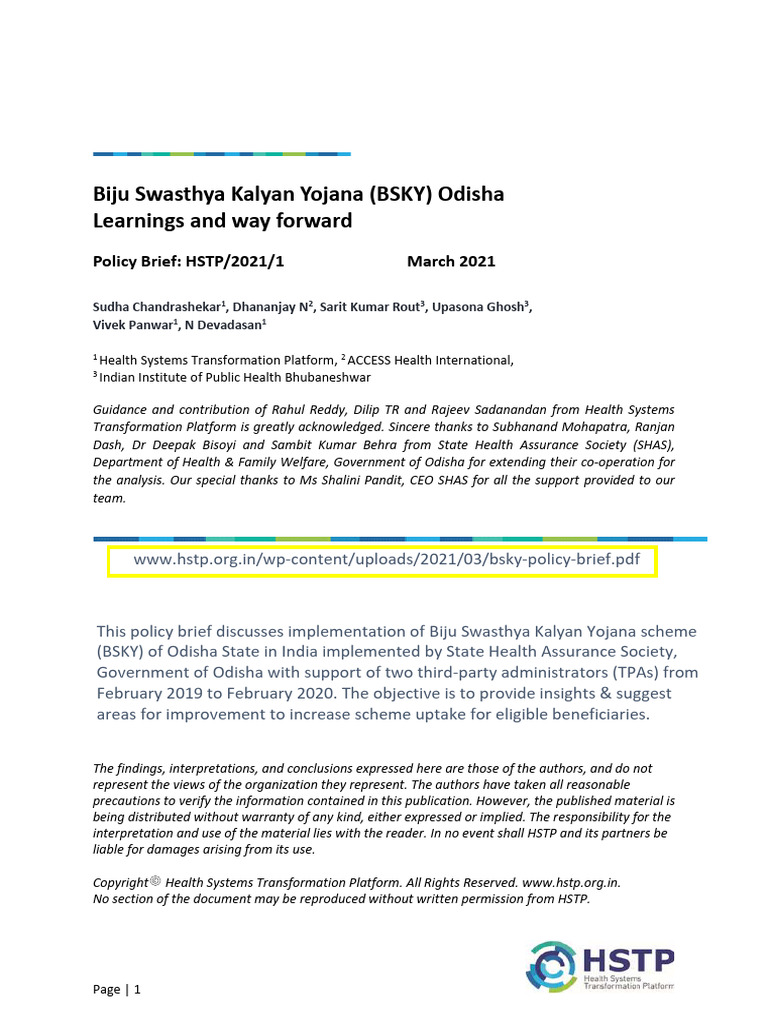 Bsky Policy Brief | PDF