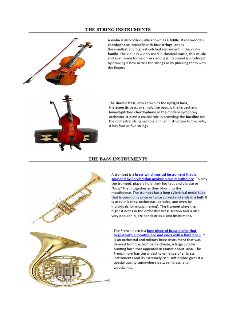 Overview of String Instruments | PDF