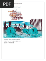 RAFI | PDF | Cirugía | Enfermería
