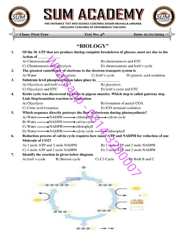 1st Year 2024 Test 4 + Key | PDF