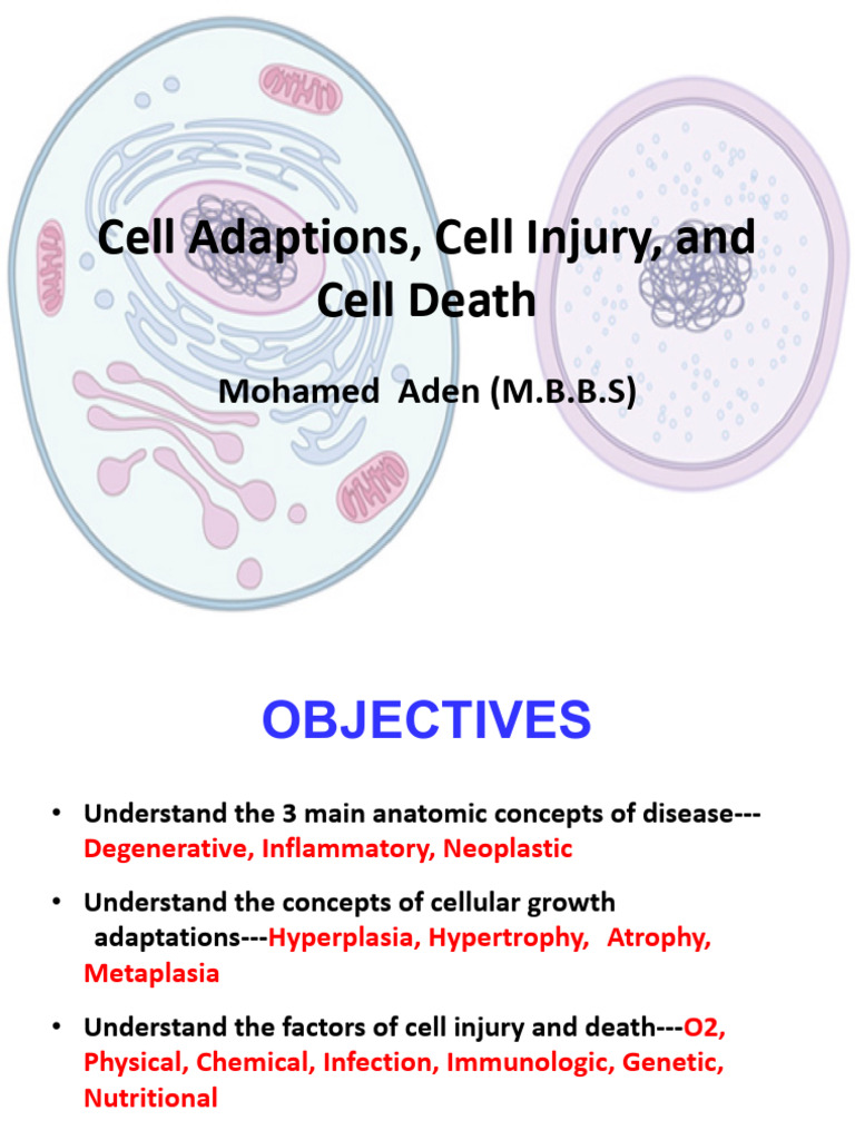 Cell Injury | PDF | Ischemia | Necrosis