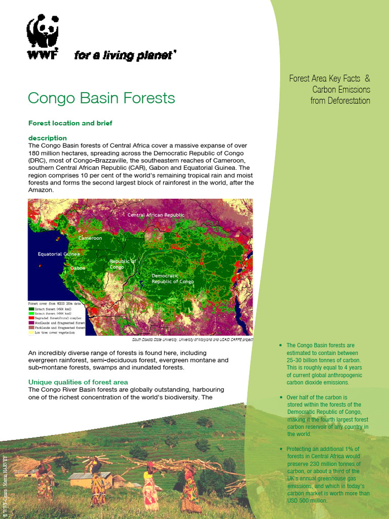 Congo Forest CC Final 13nov07 | PDF | Forests | Deforestation