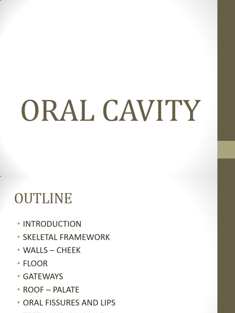Oral Cavity | PDF | Tongue | Mouth