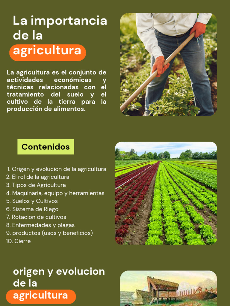Presentación Importancia Agricultura Moderno Verde y Naranja | PDF | Agricultura | Riego