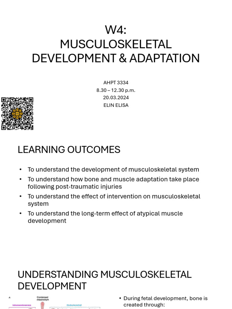 Musculoskeletal Development & Adaptation | PDF | Bone | Human ...