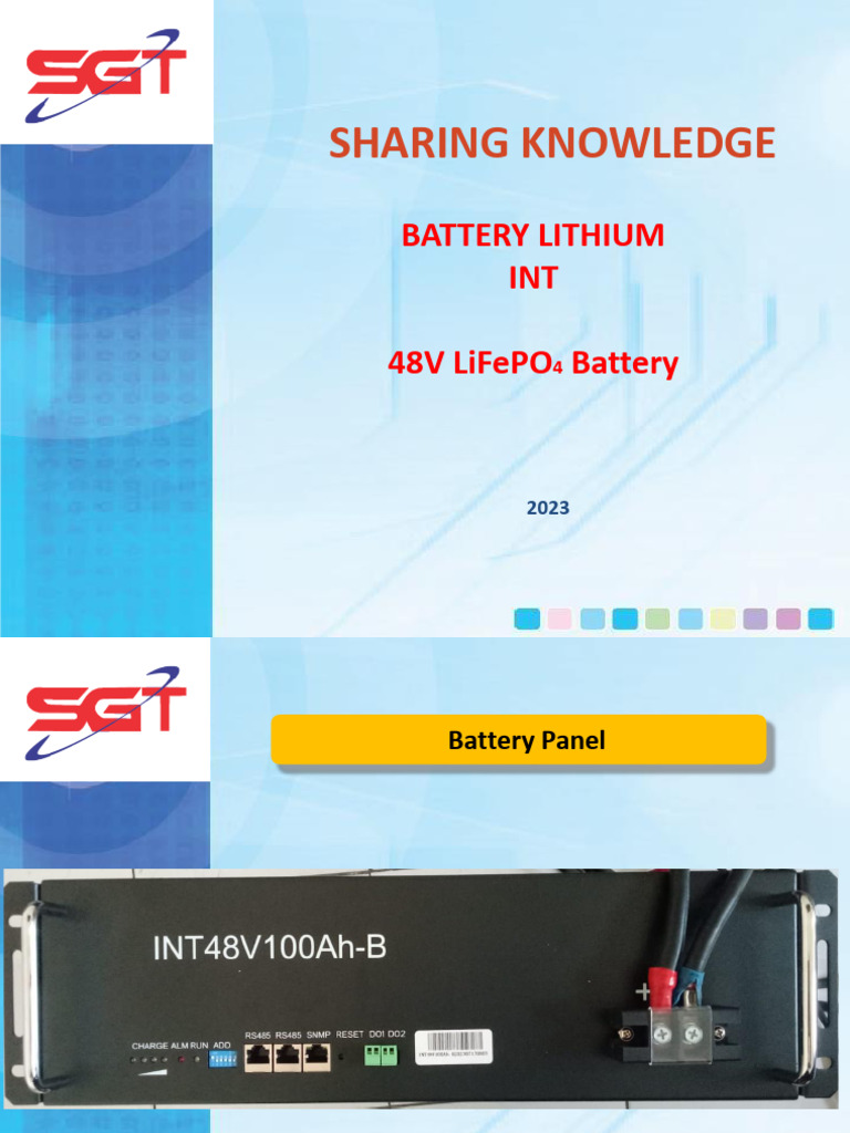 Data Sheet Battery Wolong | PDF | Battery Charger | Battery (Electricity)