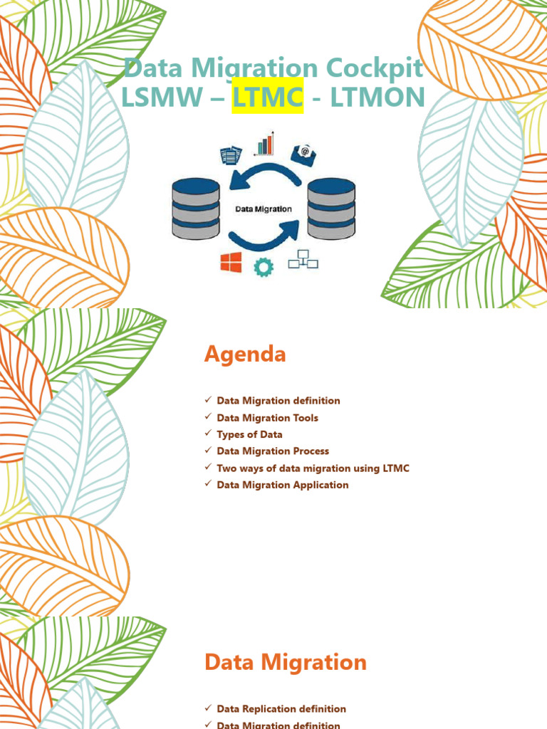 LM Sap LTMC 4.2.2024 | PDF | Computer Science | Information Retrieval