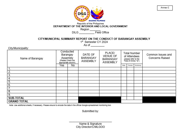 Annex C - DILG HUC-ICC-City or Municipality Summary Report Template ...
