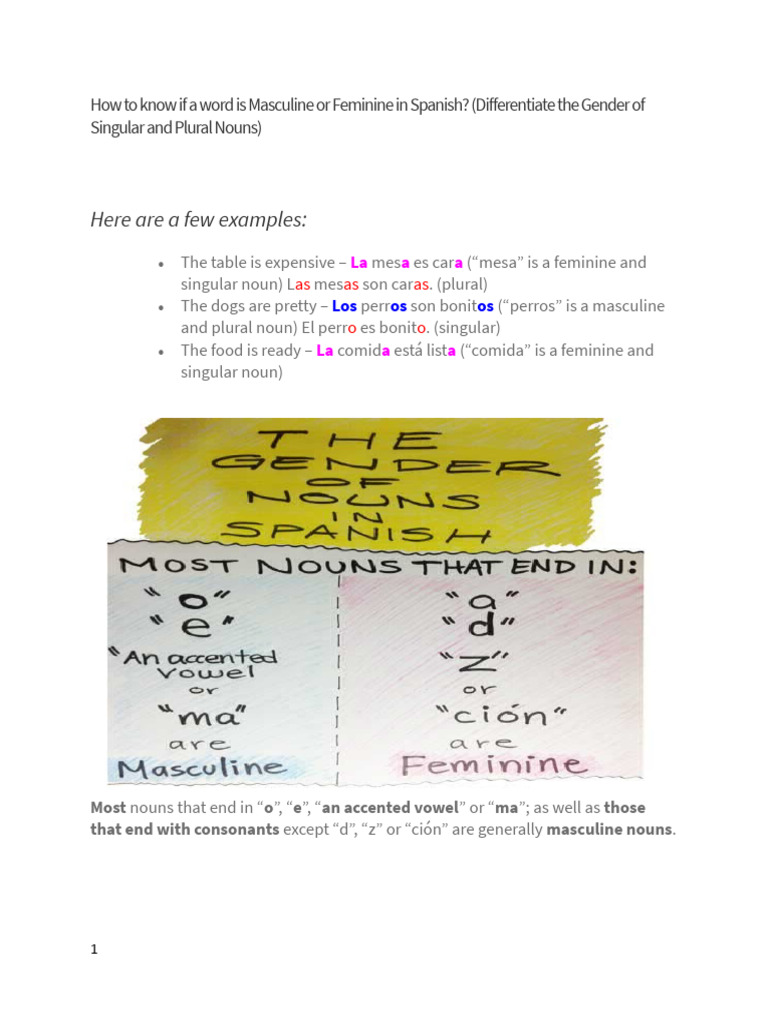 Spanish Noun Gender and Plurals Guide | PDF | Plural | Grammatical Gender