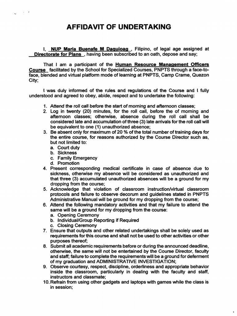 Affidavit of Undertaking | PDF