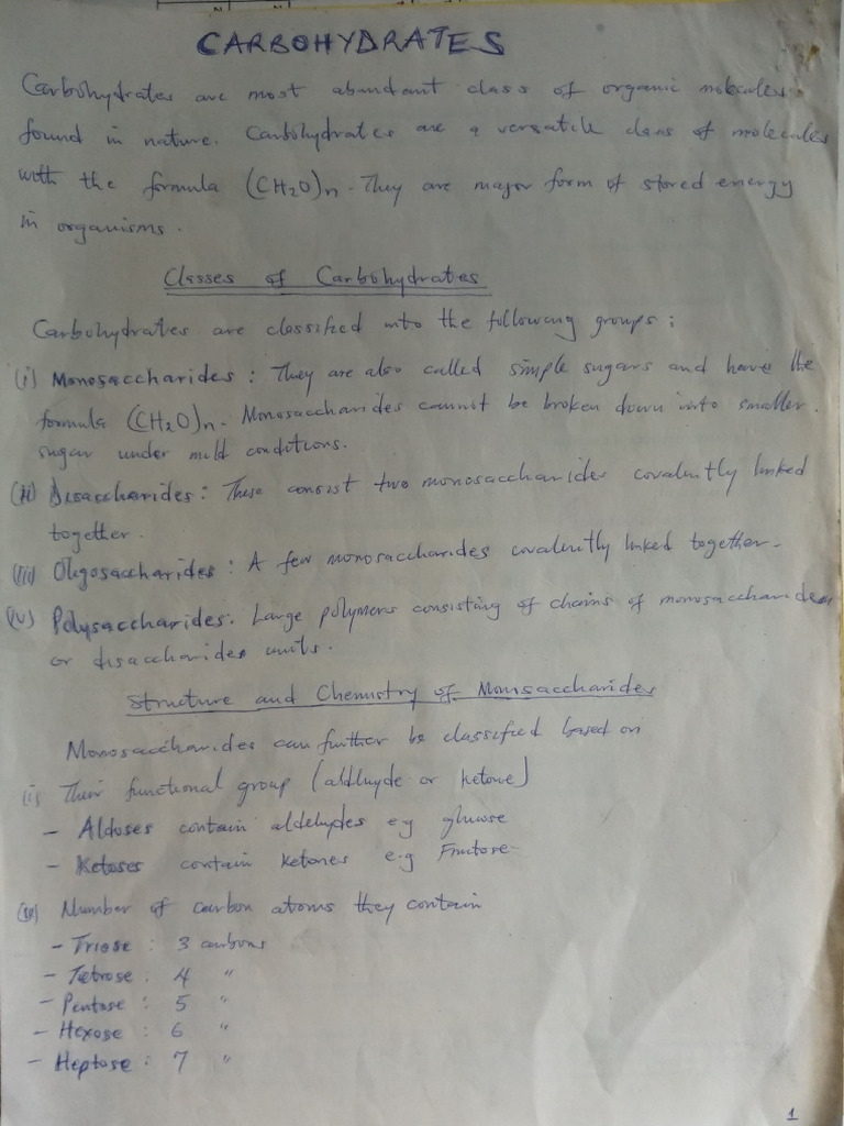 Carbohydrates Note | PDF