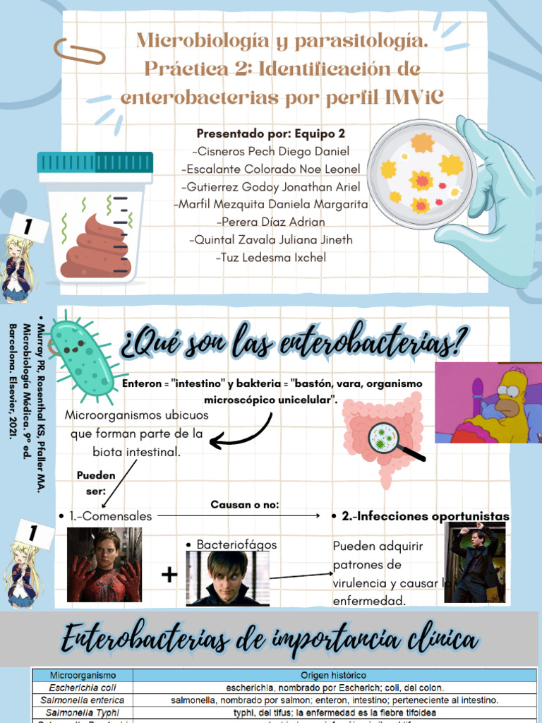 Presentación de Laboratorio - Equipo 2 - 2C | Descargar gratis PDF ...