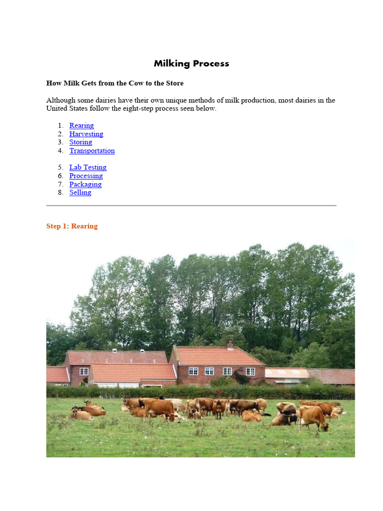 Milking Process Full My Presentation | PDF | Milk | Dairy
