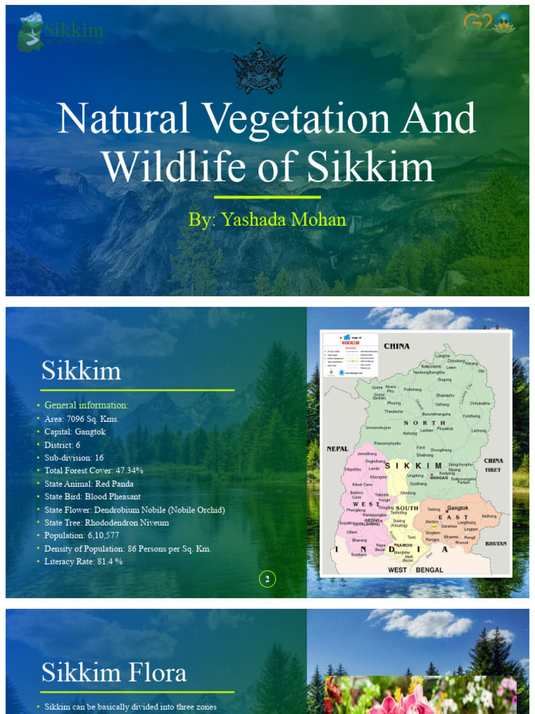 Natural Vegetation and Wildlife of Sikkim 2 | PDF | Himalayas | Plants