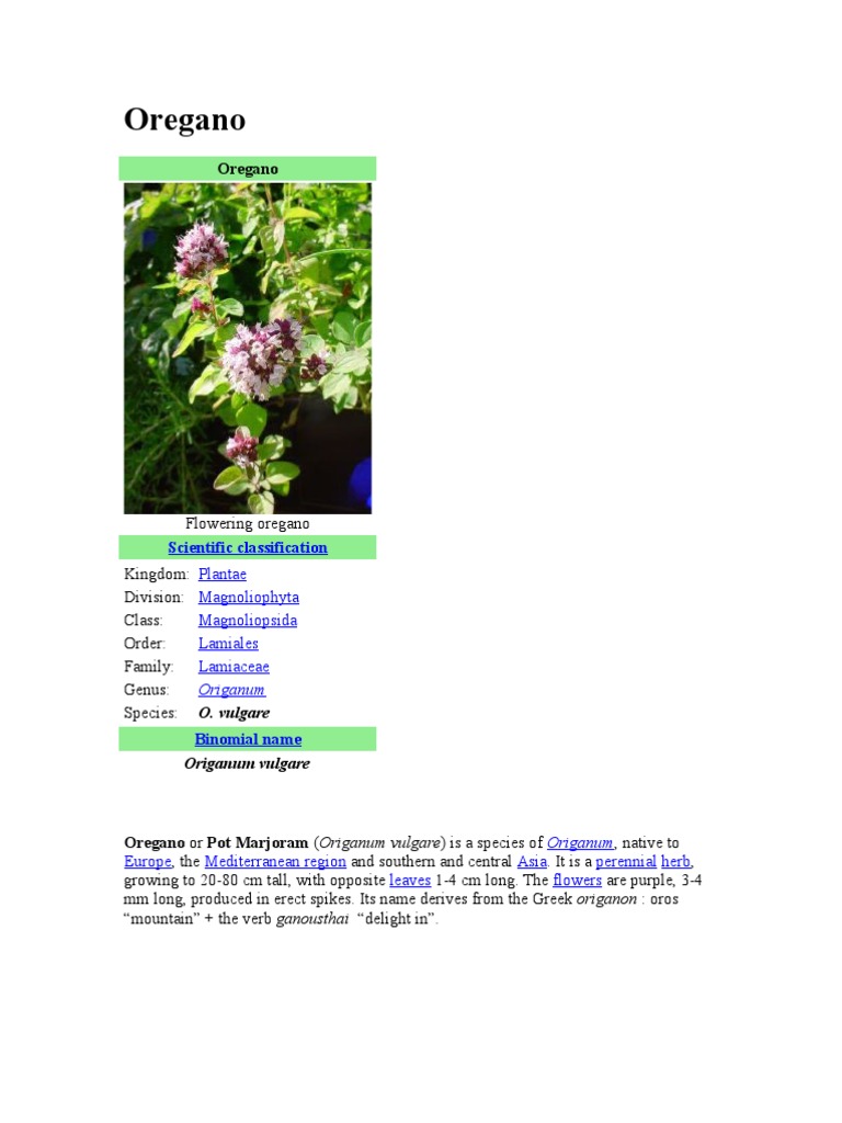 Oregano | PDF | Oregano | Cooking