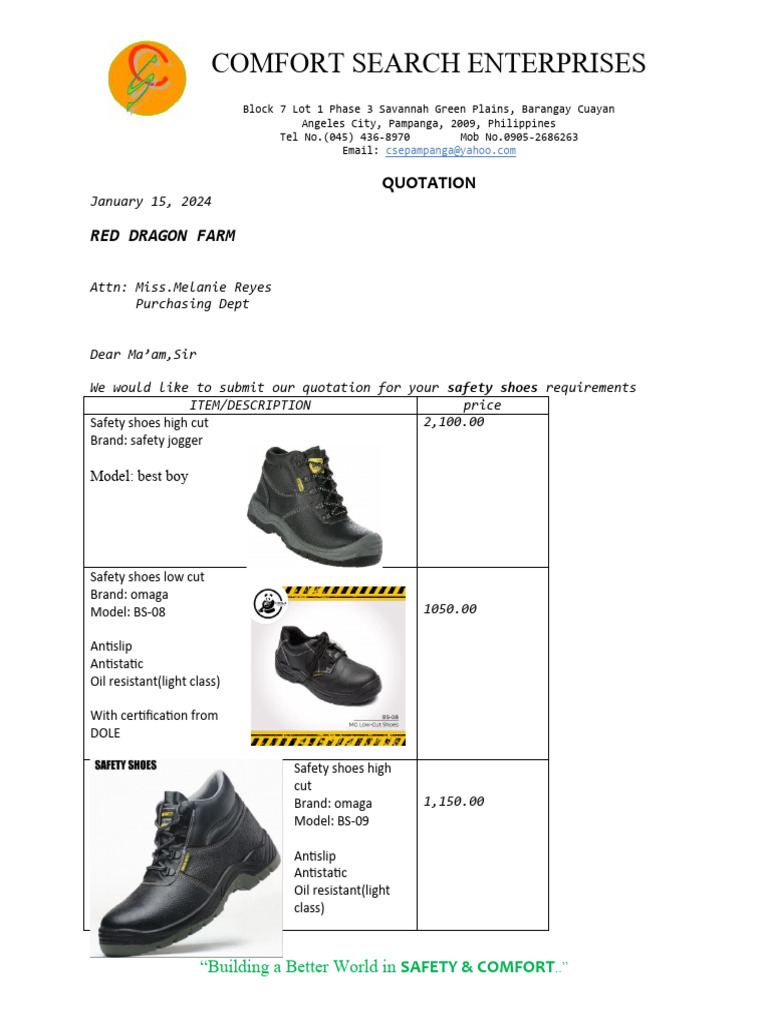 RDF Safety Shoes 1-15-24 | PDF