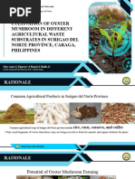 Ruminant and Pseudo-Ruminant Digestive System | PDF | Home & Garden ...