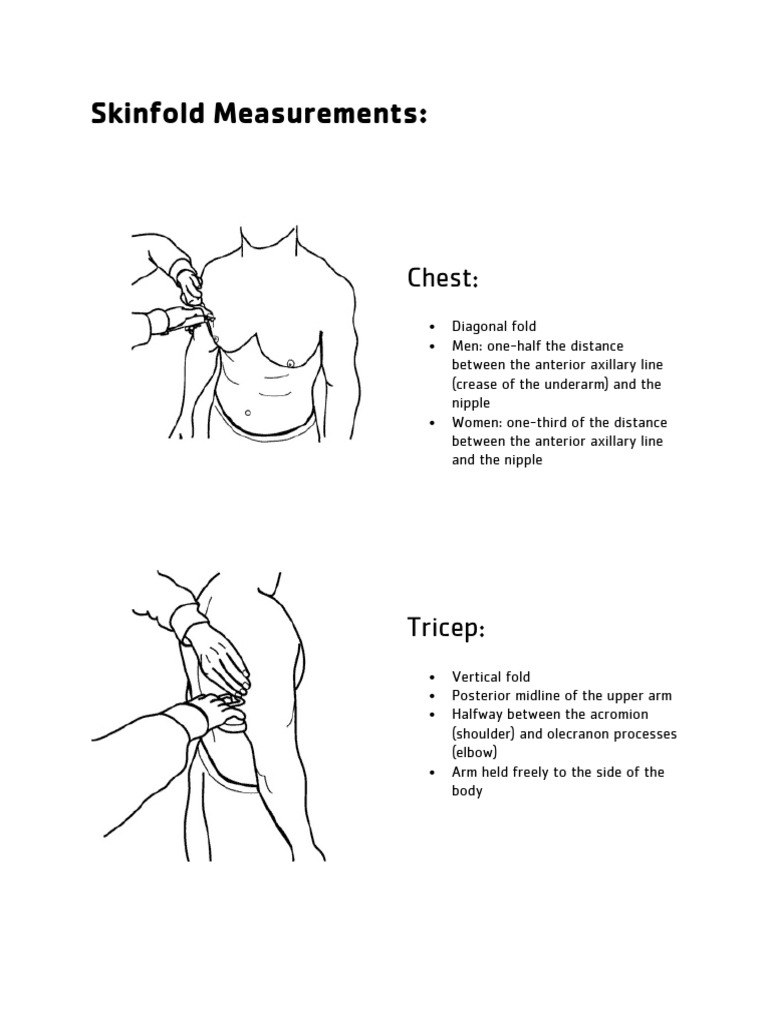 Skinfold Measurements | PDF | Anatomical Terms Of Location | Limbs ...