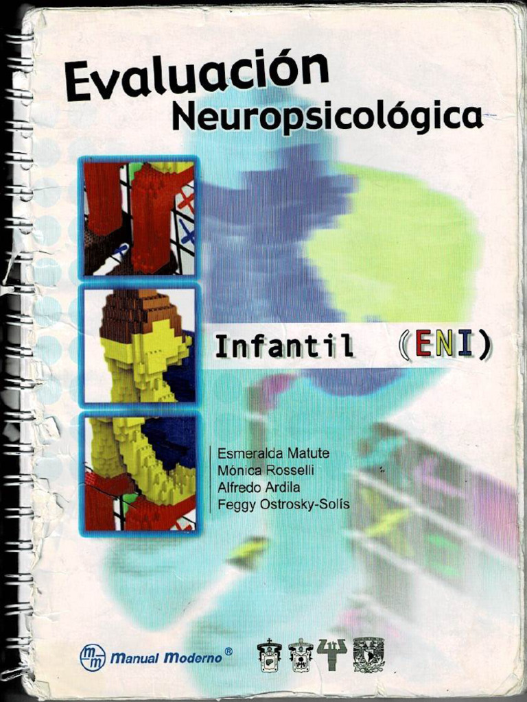 Manual ENI | PDF