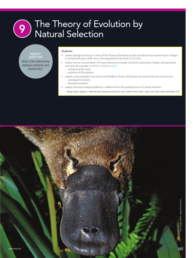 Binsw11 Chapter 9 The Theory of Evolution by Natural Selection | PDF ...