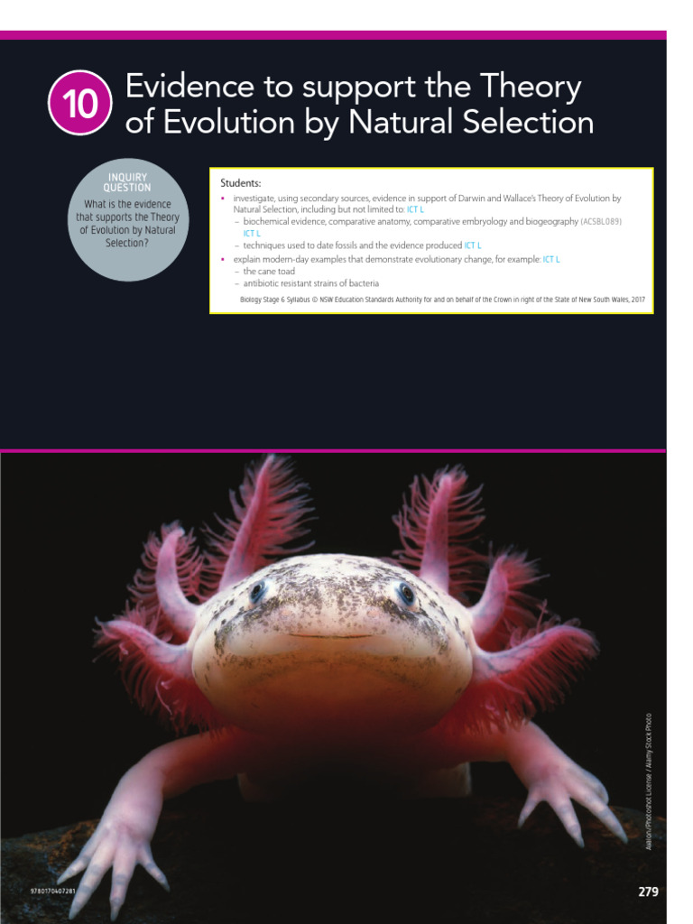 Binsw11 Chapter 10 Evidence To Support The Theory of Evolution by ...