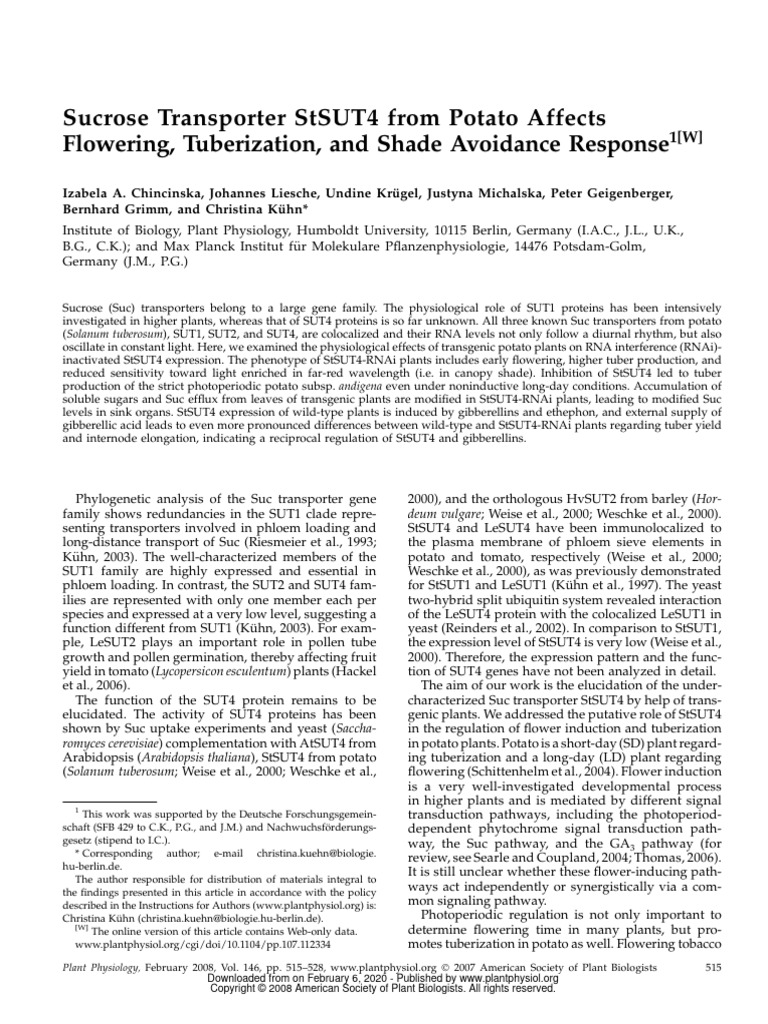 Sucrose Transporter StSut4 From Potato Affects Flowering, Tuberzation ...