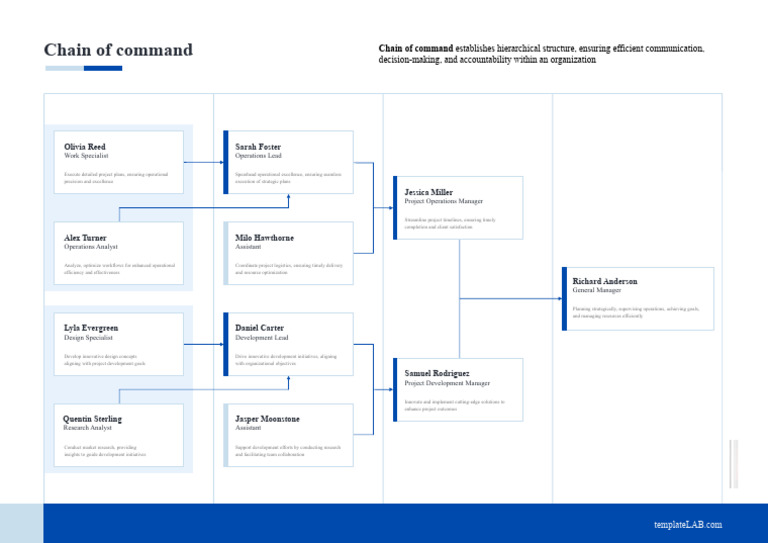 Chain of Command Structure Overview | PDF | Business Economics | Business