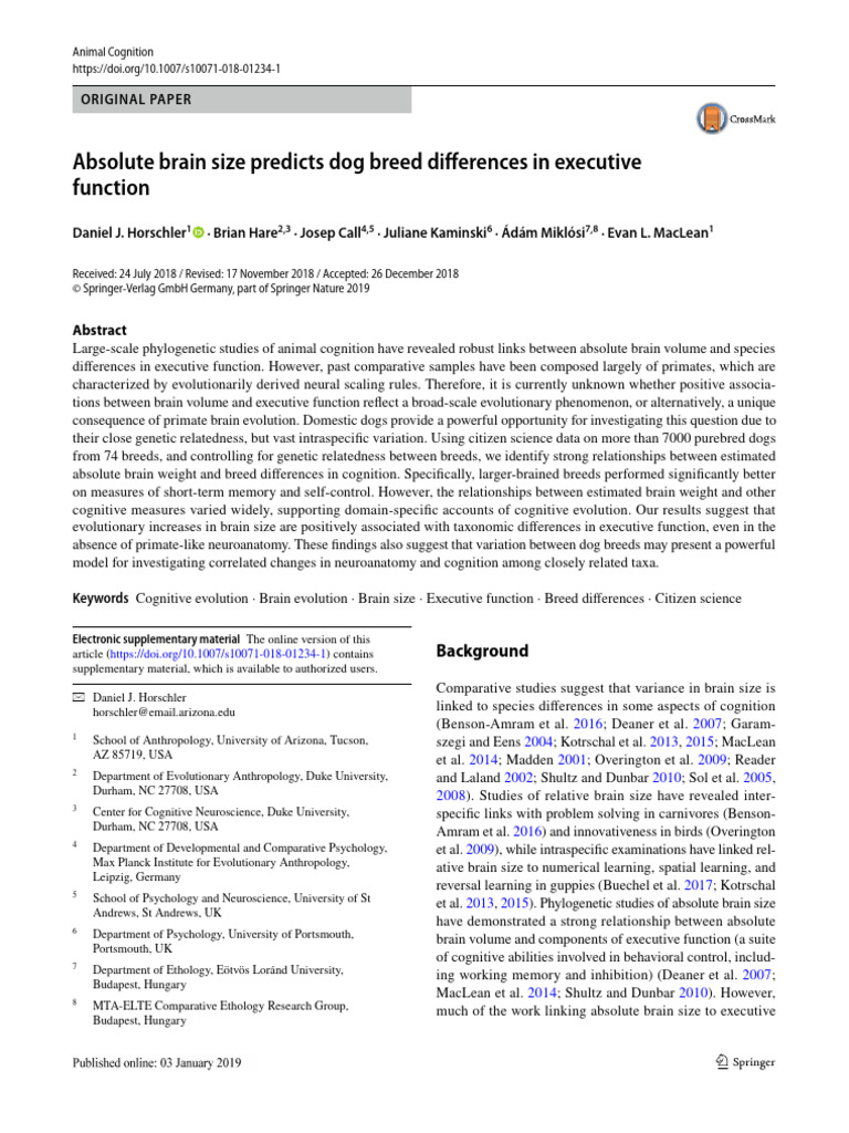 Absolute Brain Size Predicts Dog Breed Differences in Executive ...