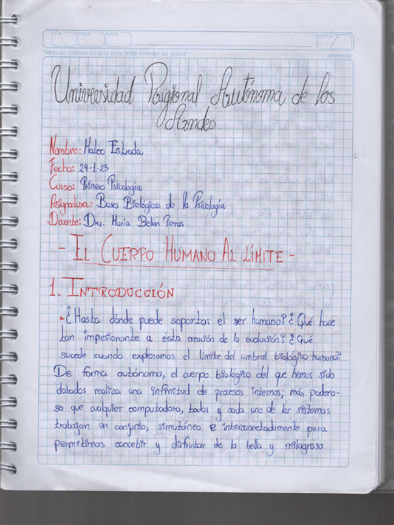 Mateo Estrada - Cuerpo Humano Al Límite | PDF