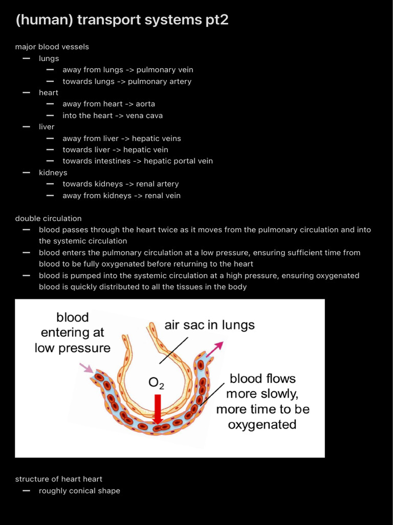 (human) transport systems pt2 | PDF | Heart Valve | Atrium (Heart)