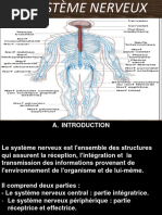 Rôle et anatomie du centre ovale cérébral | PDF | Cerveau | Cortex cérébral