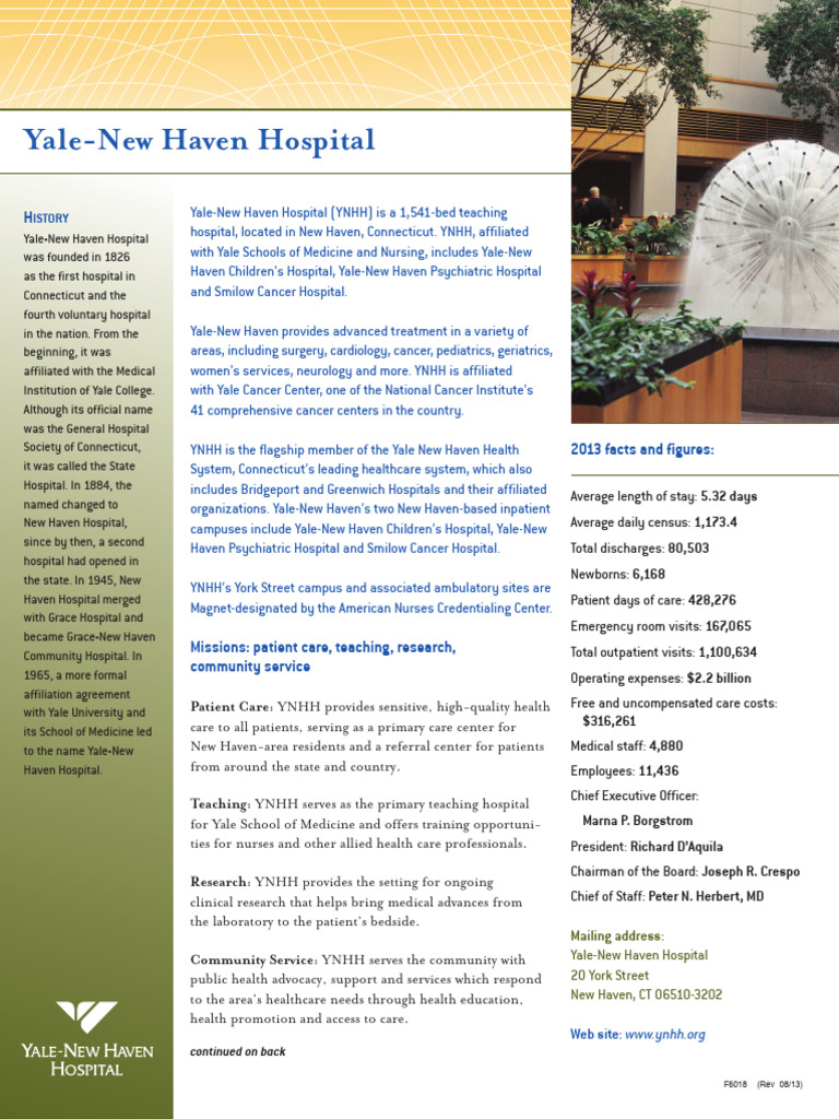 Ynhh Factsheet | Download Free PDF | Hospital | Health Sciences