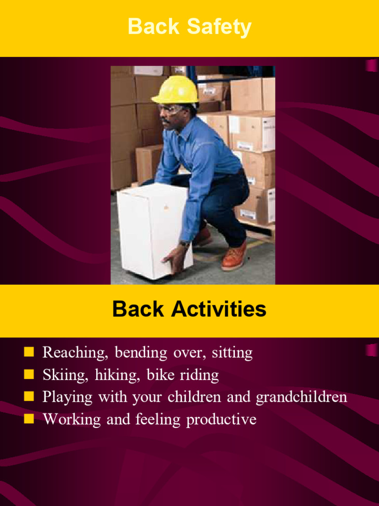 Back Safety | PDF | Musculoskeletal System