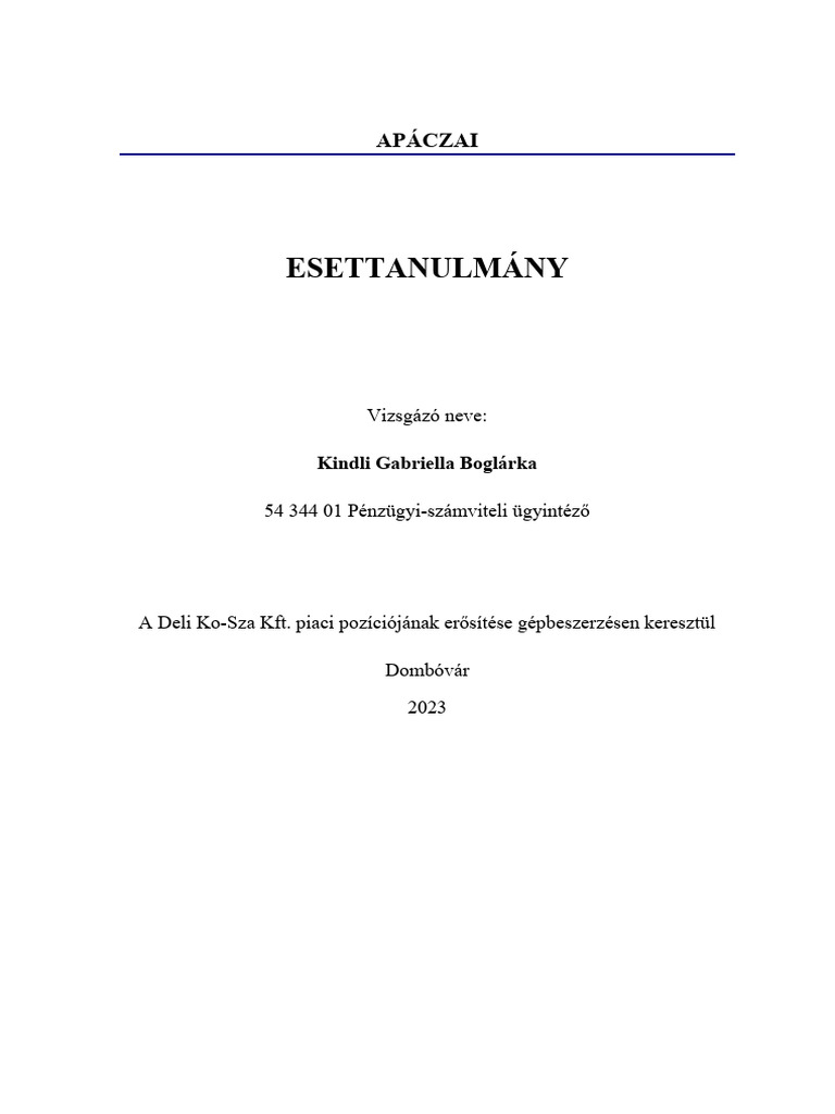Esettanulmány Sablon | PDF