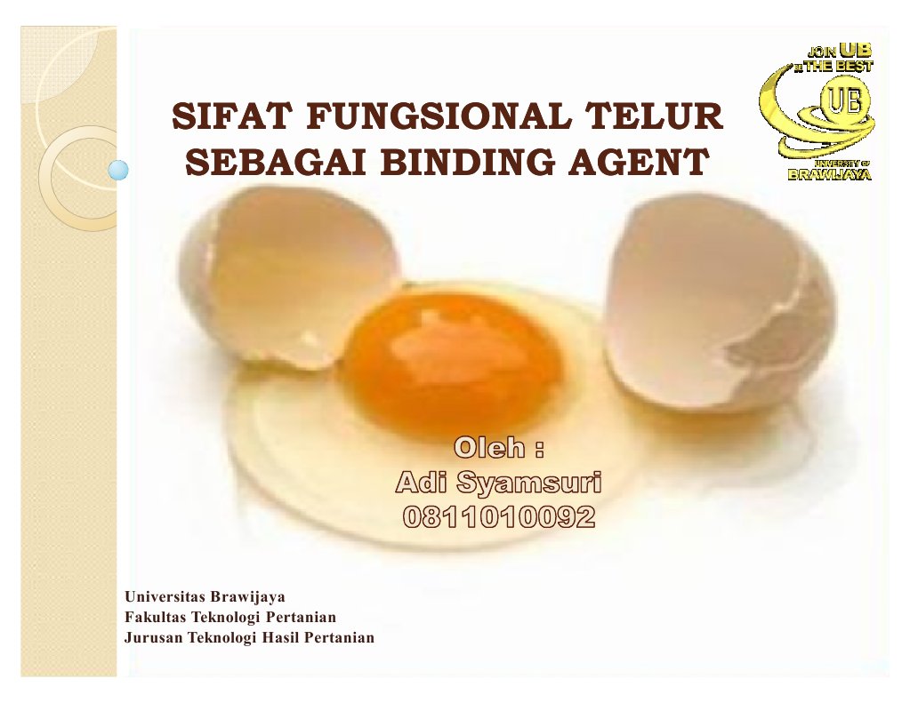Binding Agent | PDF