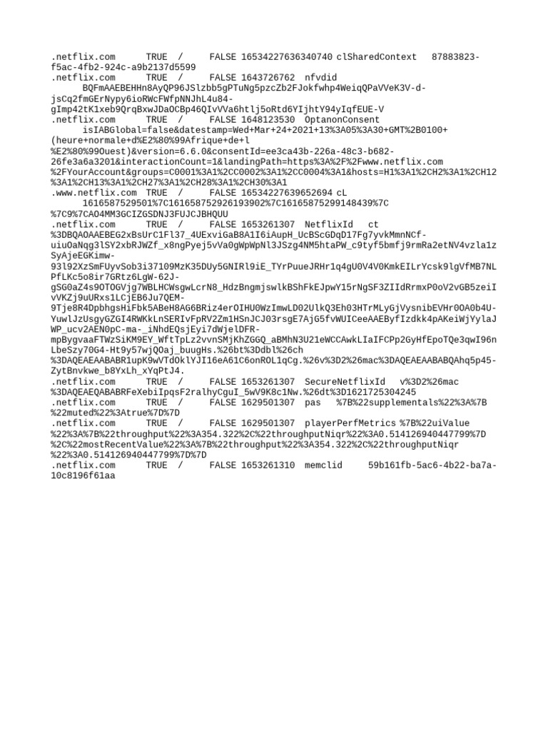 Netflix Cookies | PDF