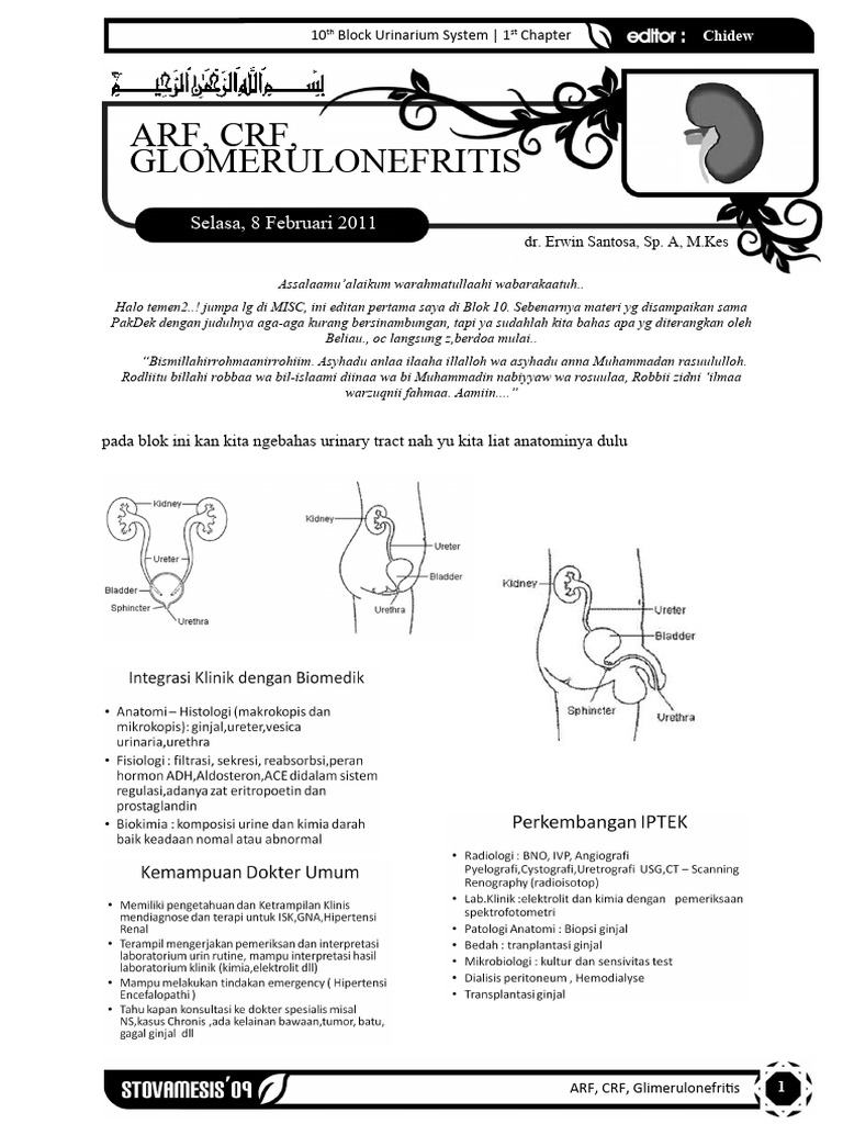 CRF, Glomerulonefritis | PDF