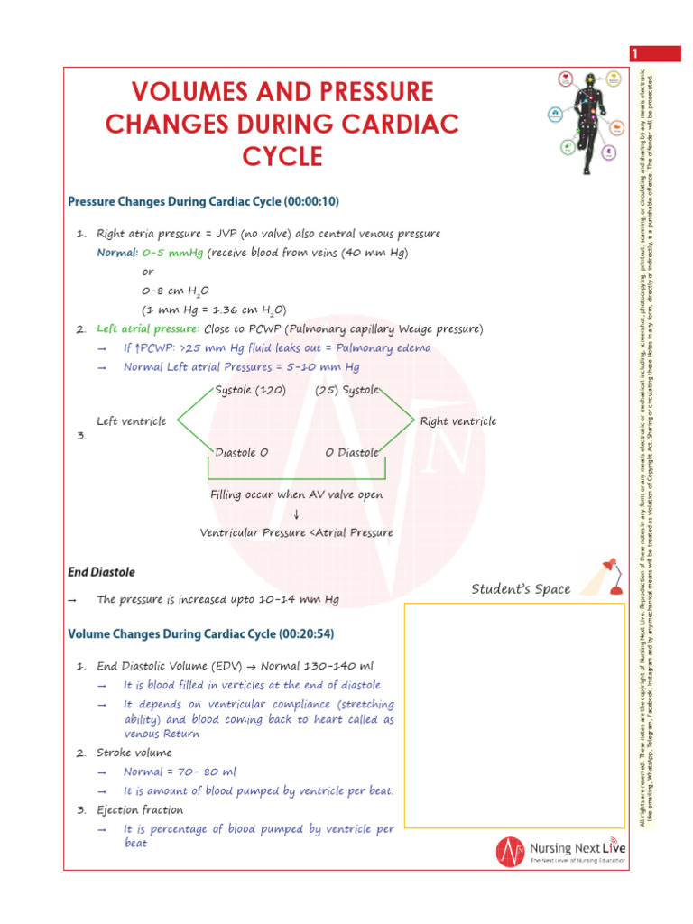 Volumes and Pressure Changes During Cardiac Cycle | PDF | Diastole ...