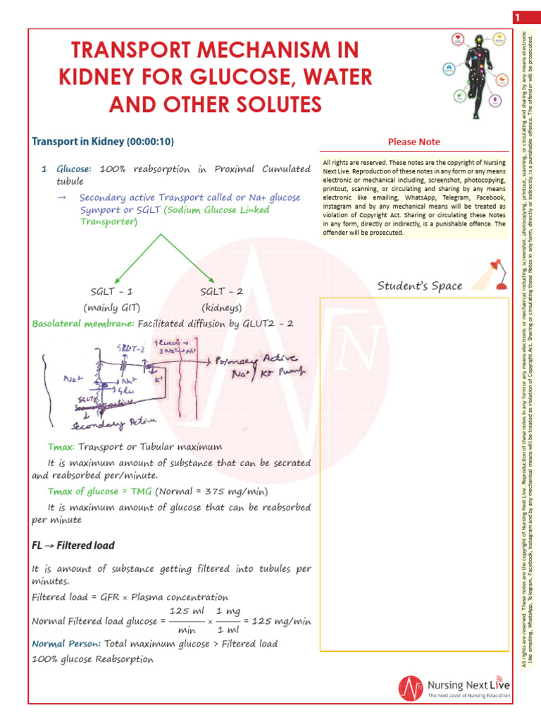 Transport Mechanism in Kidney For Glucose, Water and Other Solutes ...