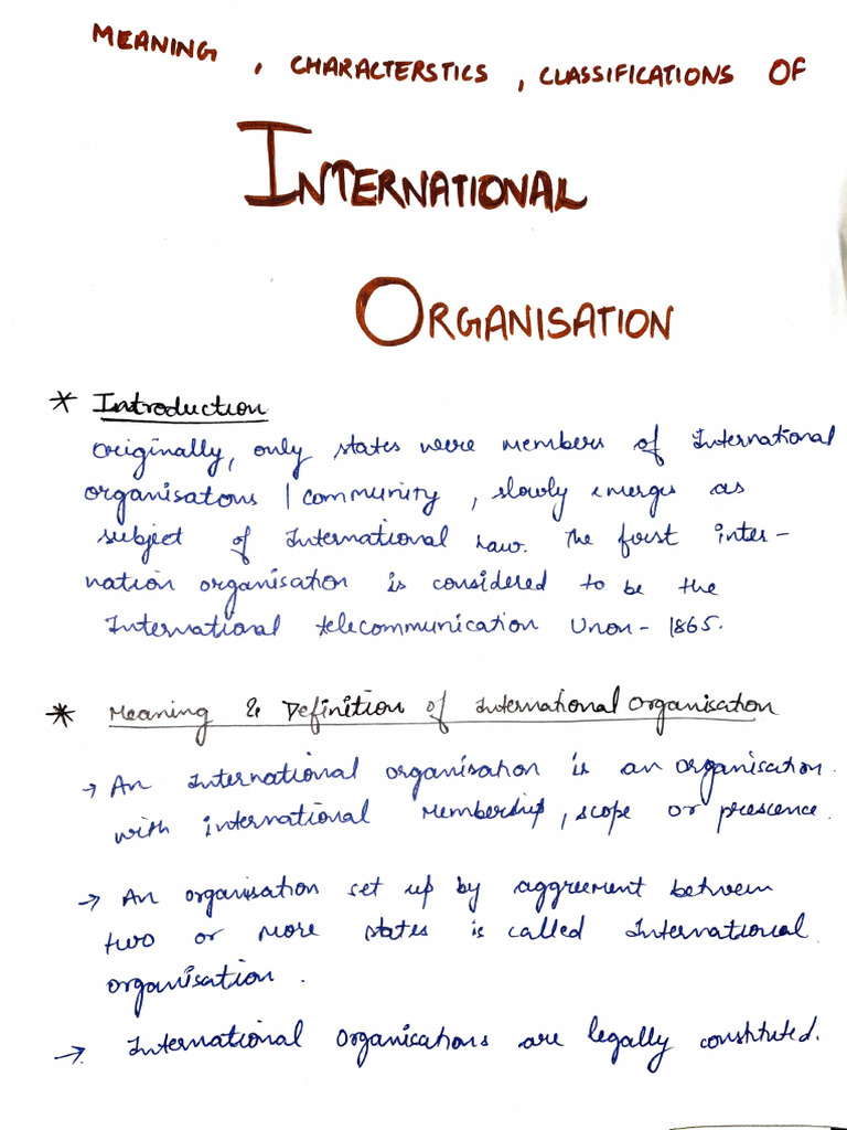 International organisation | PDF