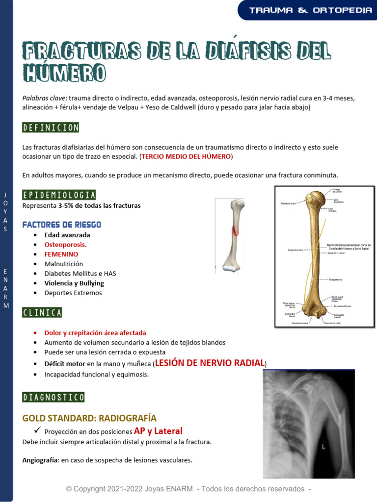 Fracturas de La Diáfisis Del Húmero | Descargar gratis PDF ...