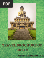 AIP On Sikkim | PDF | Poetry | English Literature