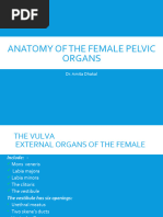Female Reproductive System PowerPoint | PDF | Uterus | Vagina