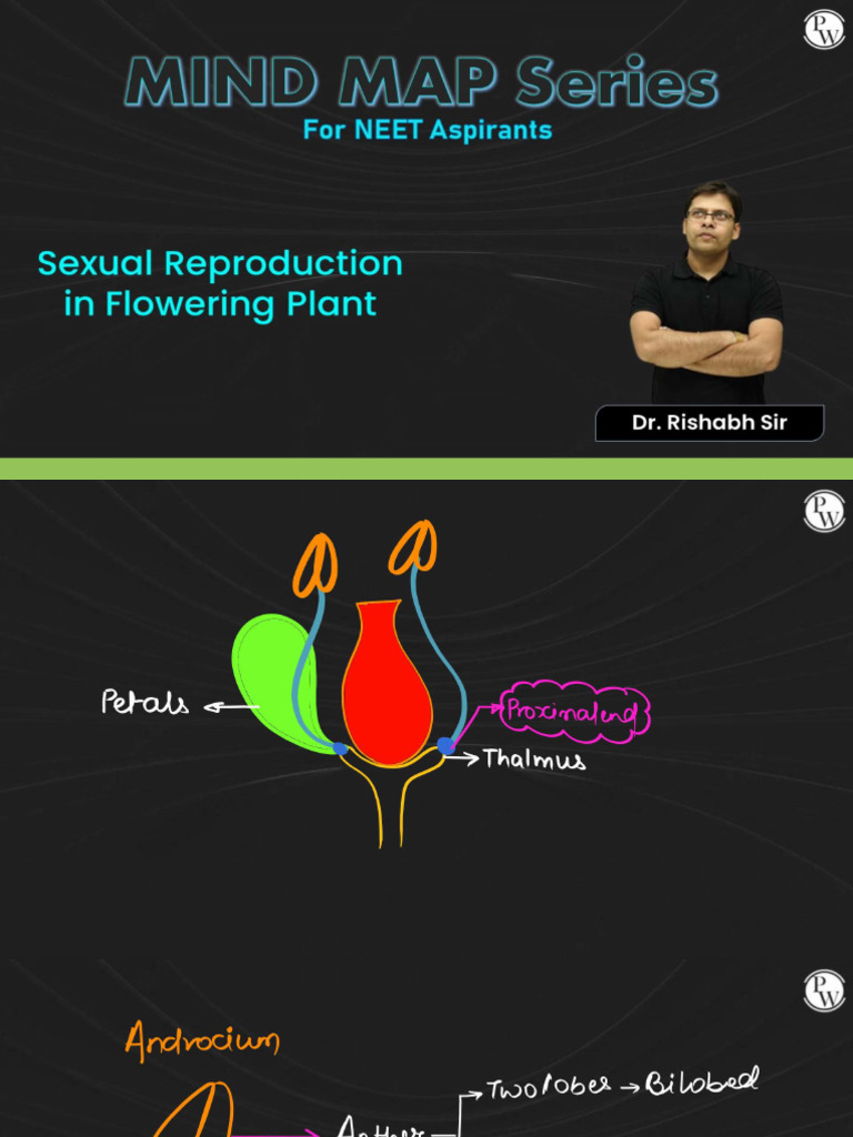 Sexual Reproduction in Flowering Plants - Class Notes - NEET Mindmap | PDF