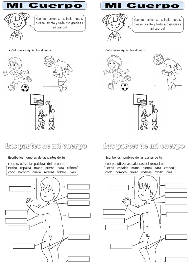 Colorea y Aprende las Partes del Cuerpo | PDF | Artes del Lenguaje y ...