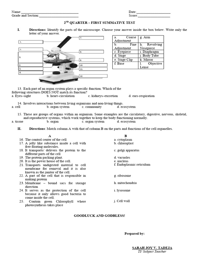 q2-1st Summative Test | PDF | Cell (Biology) | Biology